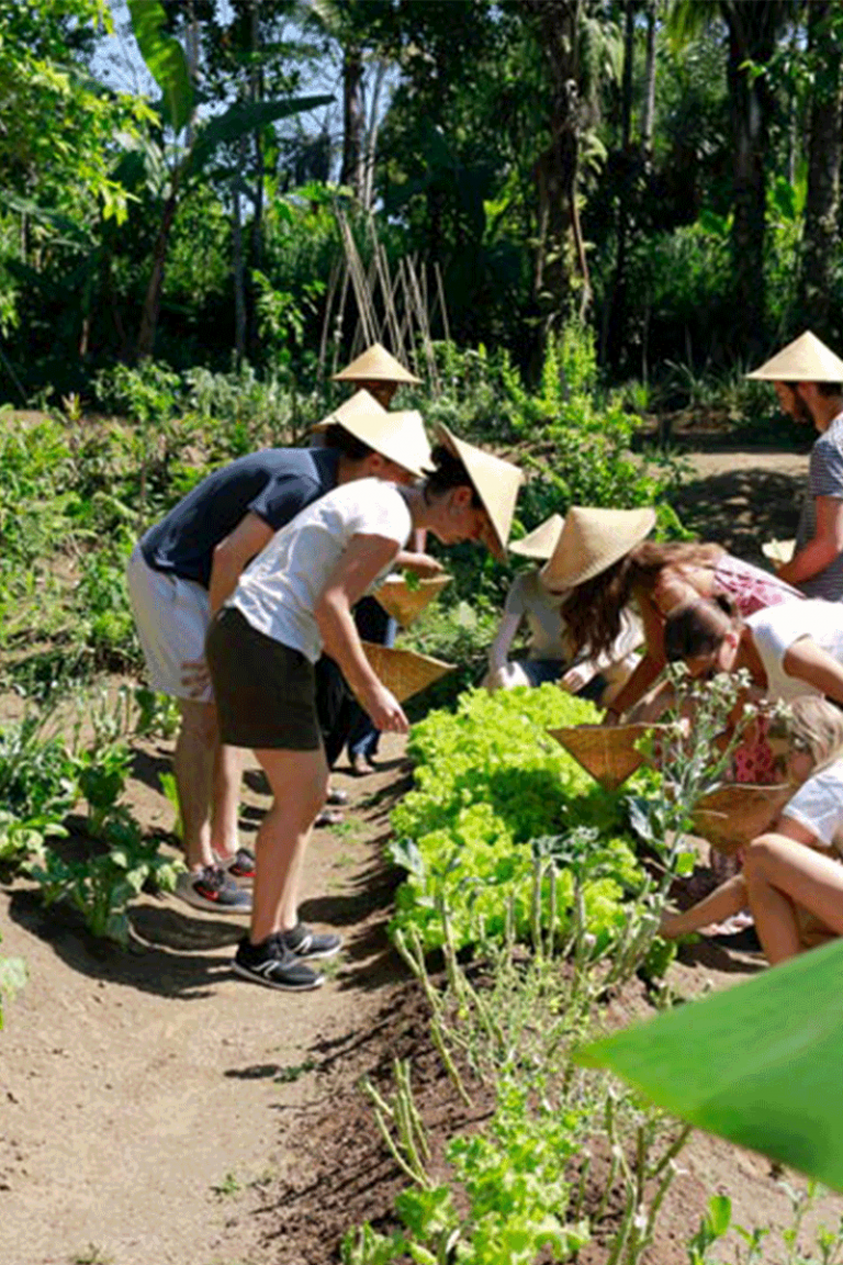 Bali Farm Cooking School - Pemulan Bali
