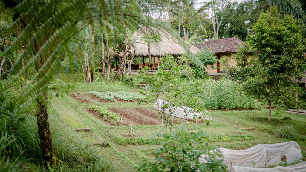 About - Pemulan Bali Farm Cooking School