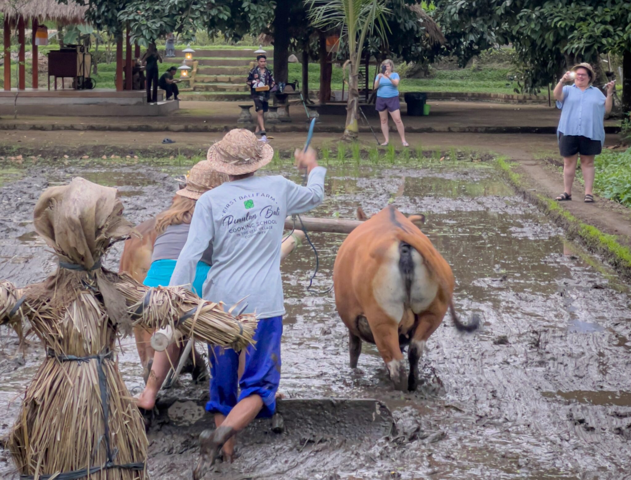 Home - Pemulan Bali Farm Cooking School